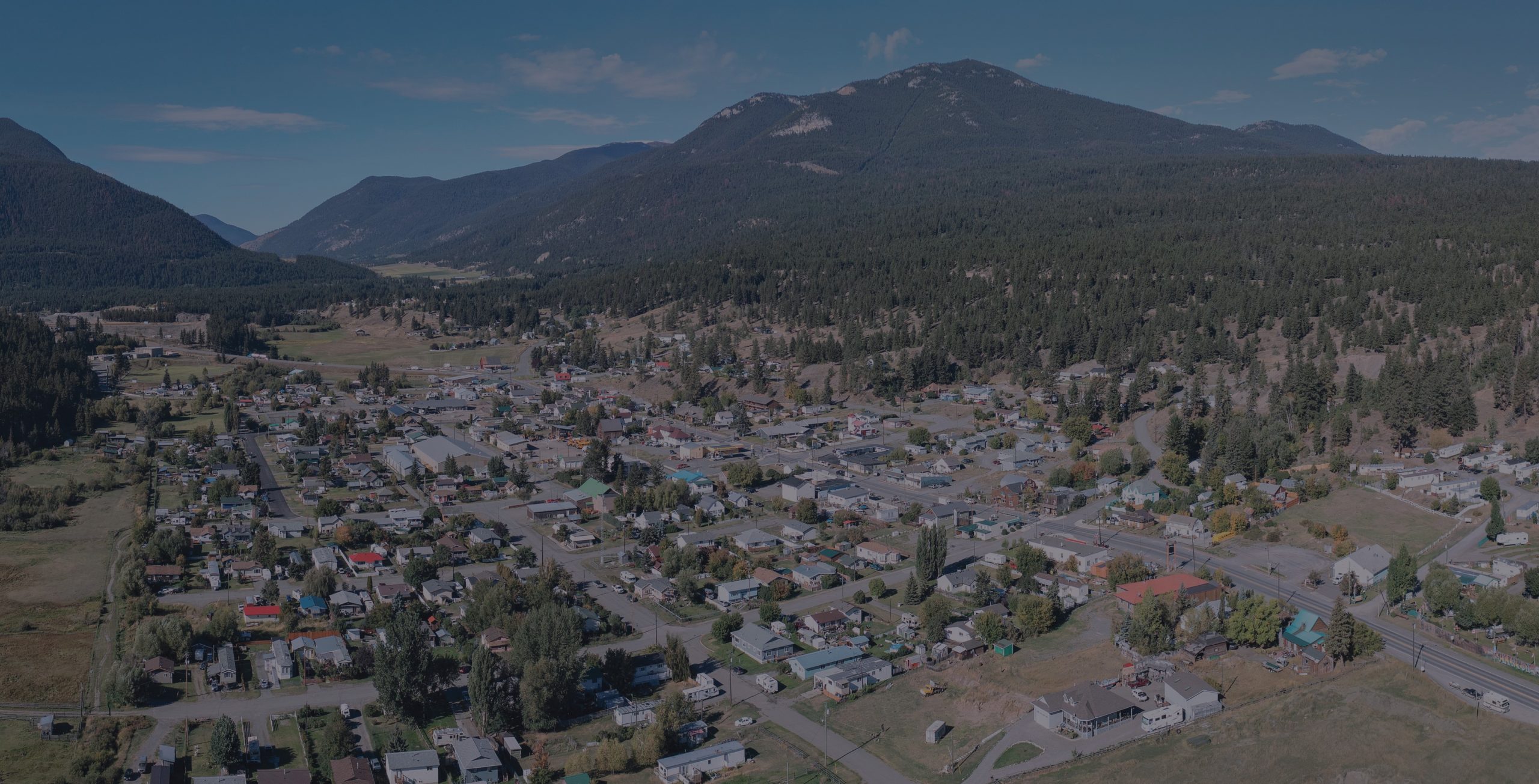 Village Bylaws – Village of Clinton