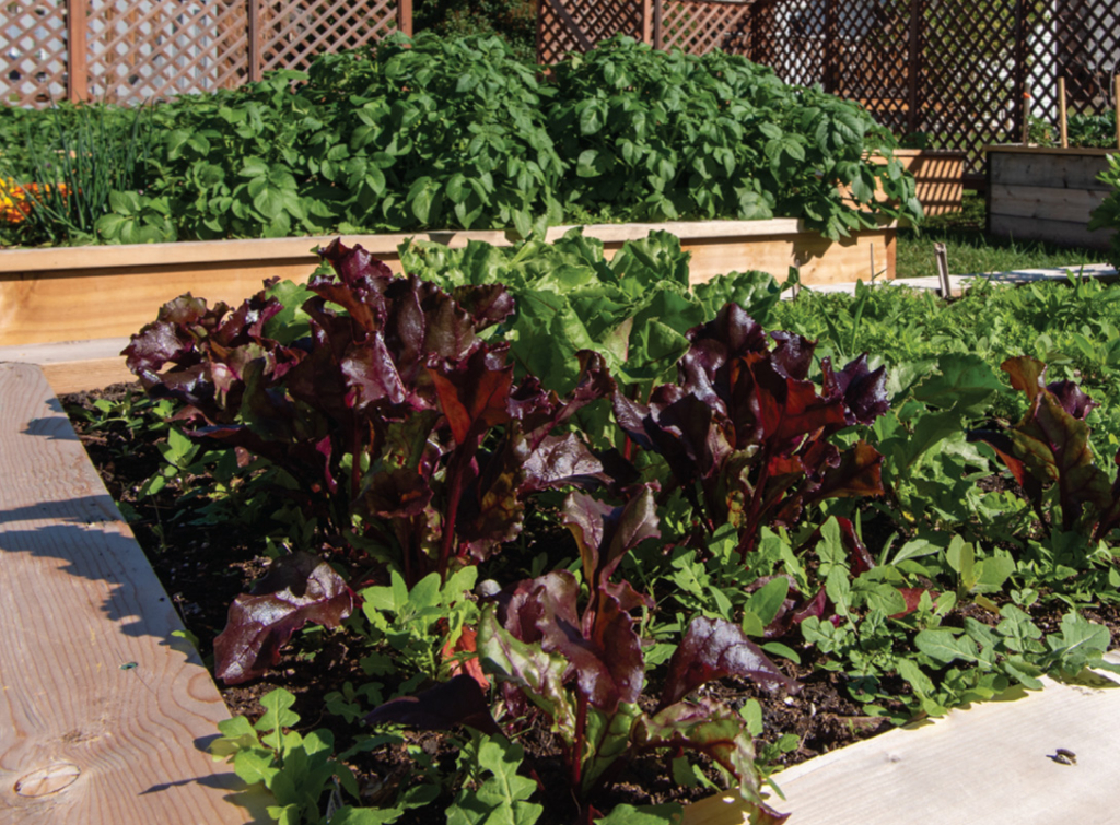 Spring – Village of Clinton